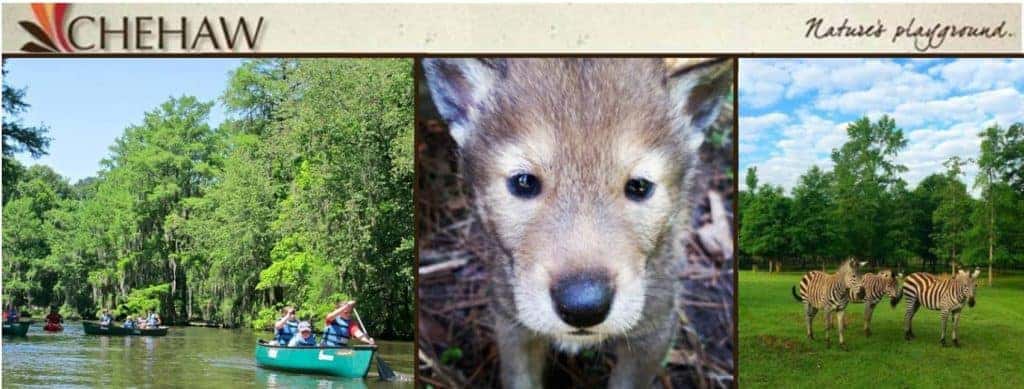 Chehaw Park & Zoo Albany GA | BMW of Albany