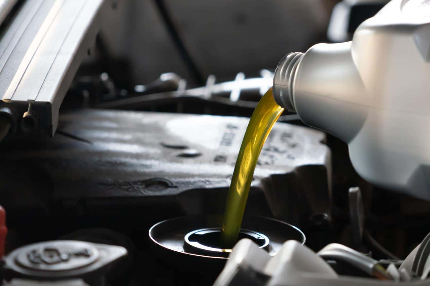 Oil Change Albany Ga Wallpaper For Desktop