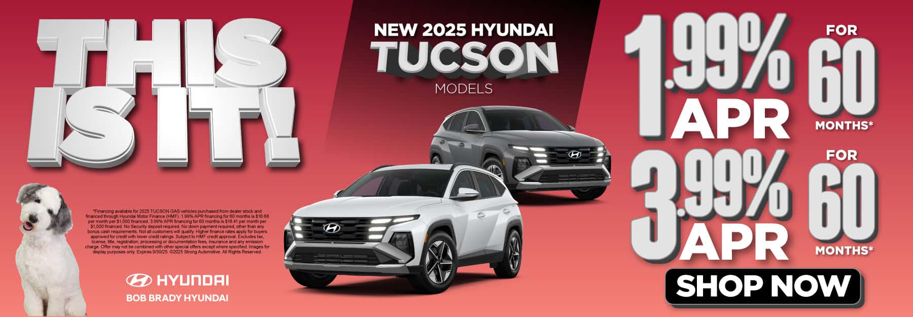 Hyundai Dealer and Service in Decatur, IL | Bob Brady Hyundai