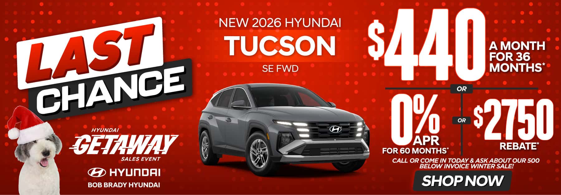 Hyundai Dealer and Service in Decatur, IL | Bob Brady Hyundai